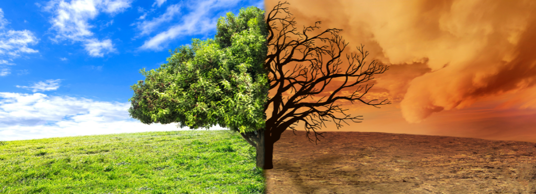 Climate Change Scenario Analysis: Mitigating Financial Risks - Data ...
